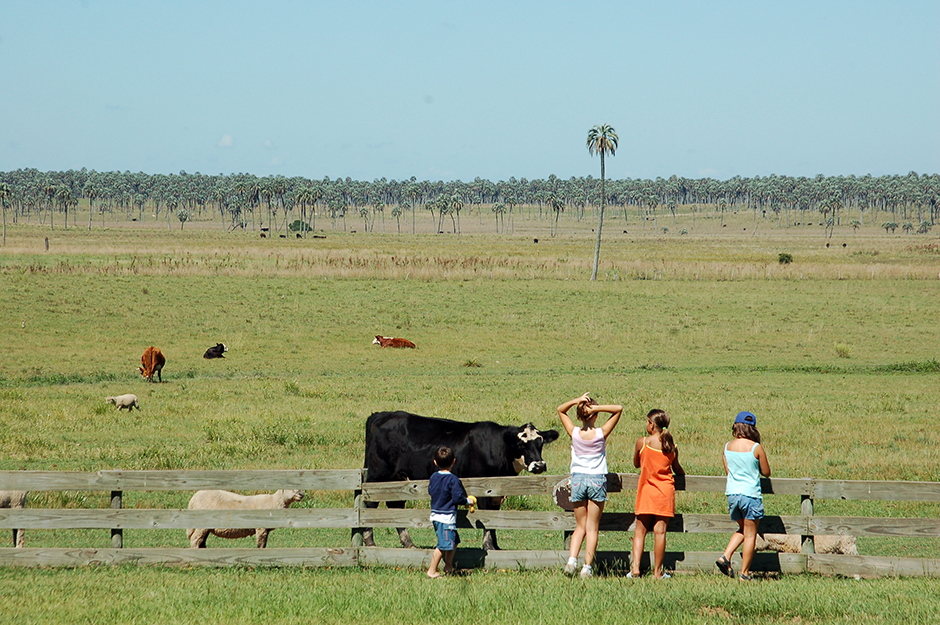 Fotos de Entre Ríos, Imágenes, Galería, Turismo, Argentina